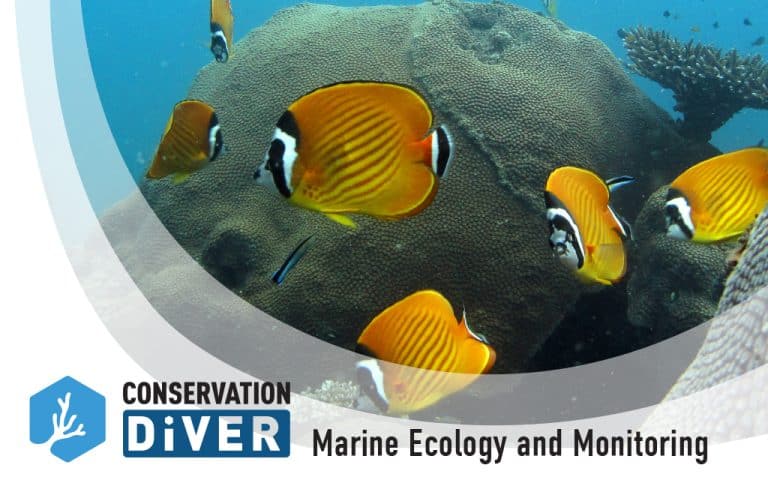 Marine Ecology & Monitoring – Your Online Learning Portal